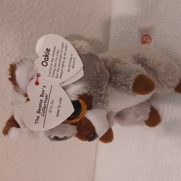 Ty | Accents | Ty Beanie Boos Oakie Racoon Rare | Poshmark